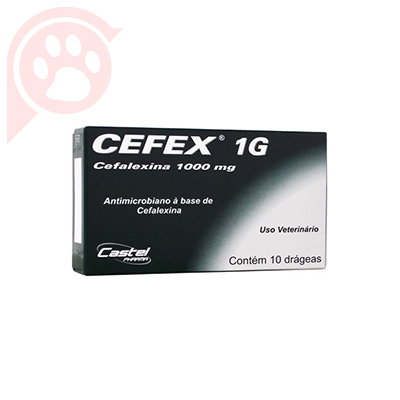 Cefex 1g