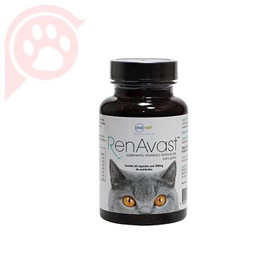 RENAVAST GATOS 300MG
