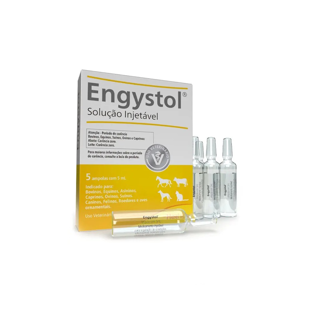 Engystol Solução Injetável